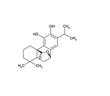 Carnosol - 5957-80-2 - Changsha Staherb (China Manufacturer) - Plant ...