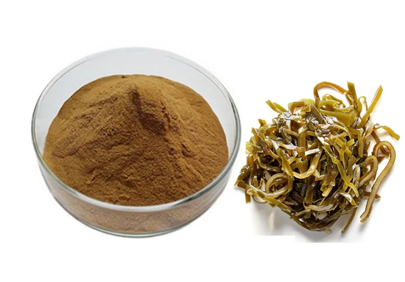 Ecklonia Cava Extract - Changsha Staherb (China Manufacturer) - Plant ...