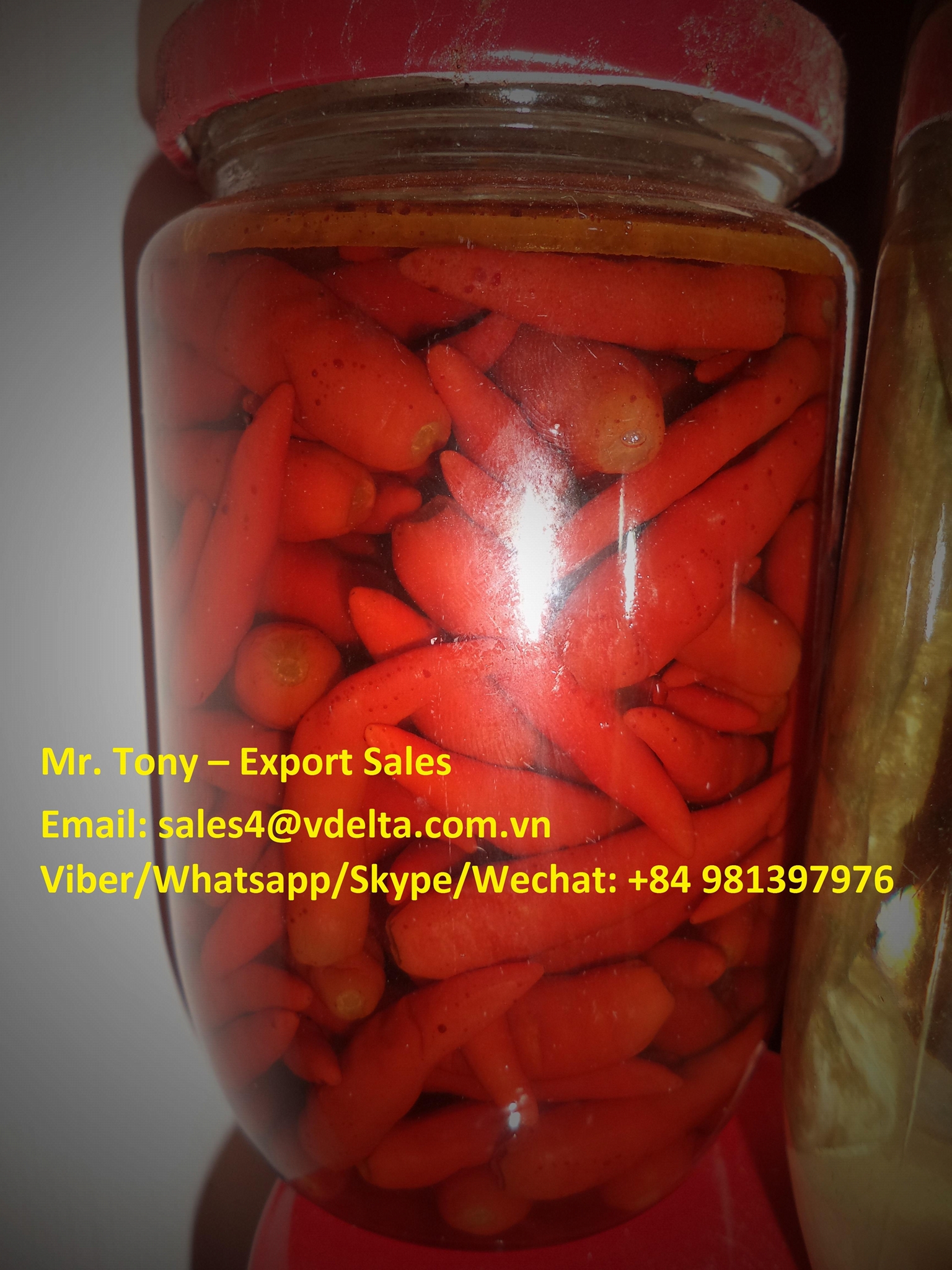 Dried Pickle Powder Fresh Chilli - Tony +849813979 - Vdelta (Vietnam ...