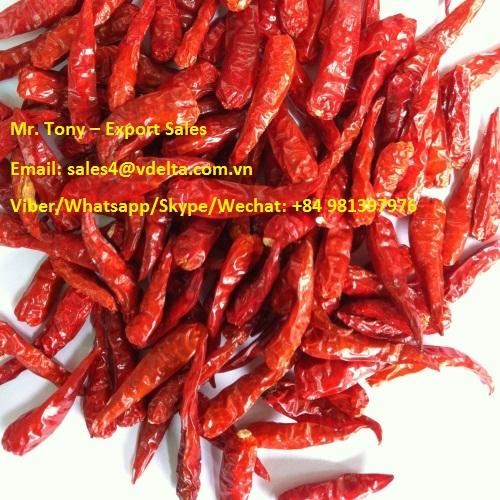 Dried Pickle Powder Fresh Chilli - Tony +849813979 - Vdelta (Vietnam ...