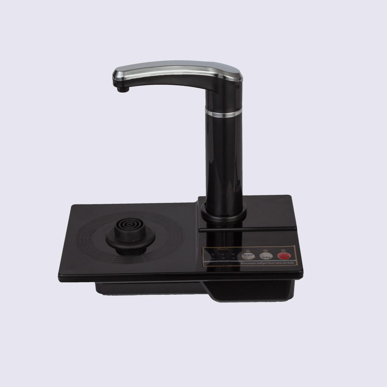 Braille Button Stainless Steel Electric Kettle with Voice Prompt ...