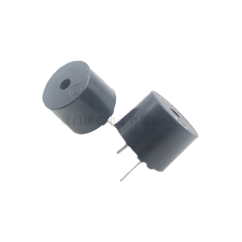 buzzer alarm The horn TMB12A05 DC3V 5V 12V 24V - ZLBLHM (China ...