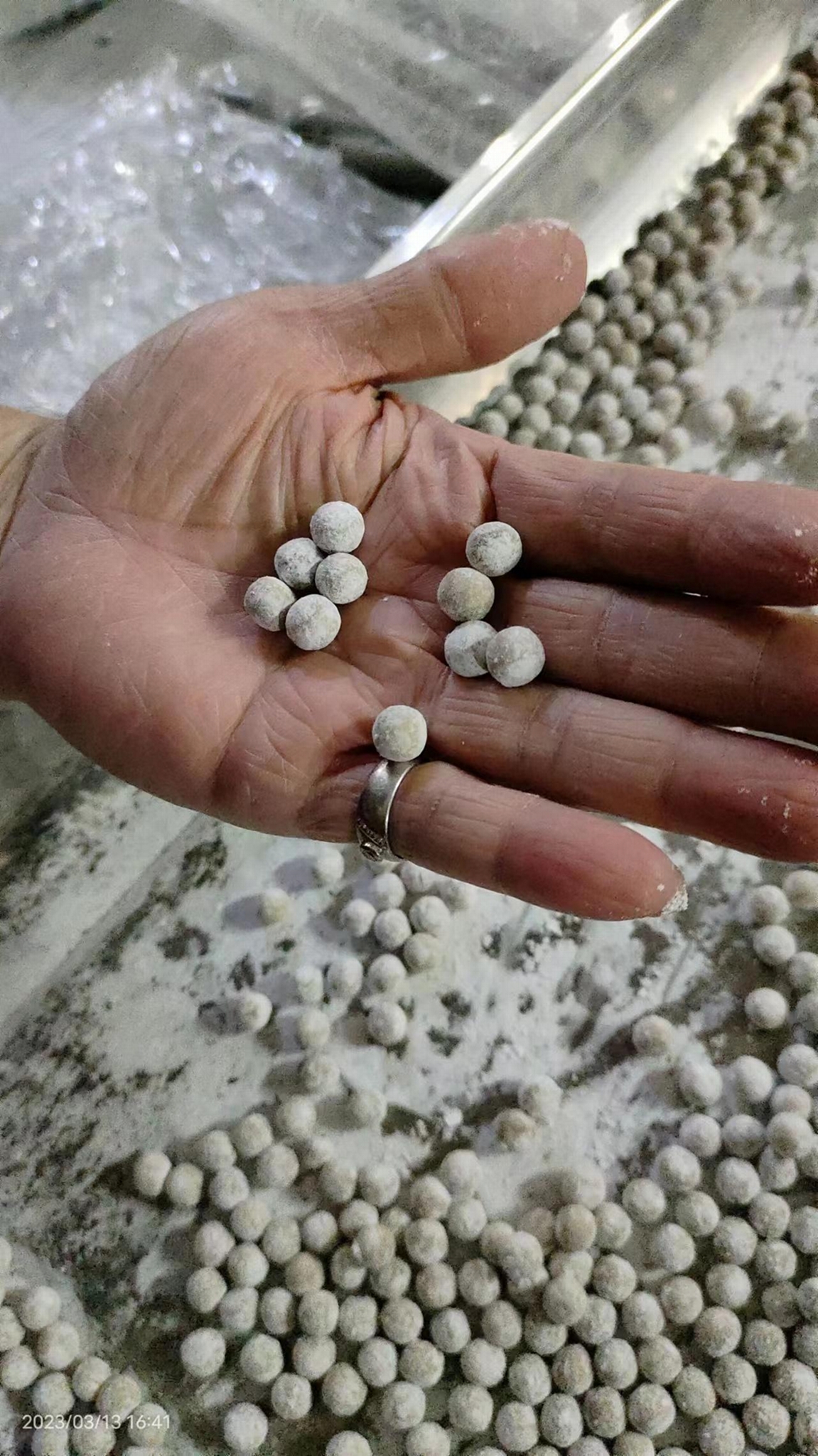 Automatic sago making Machine For Multiple Use - Fujian Province