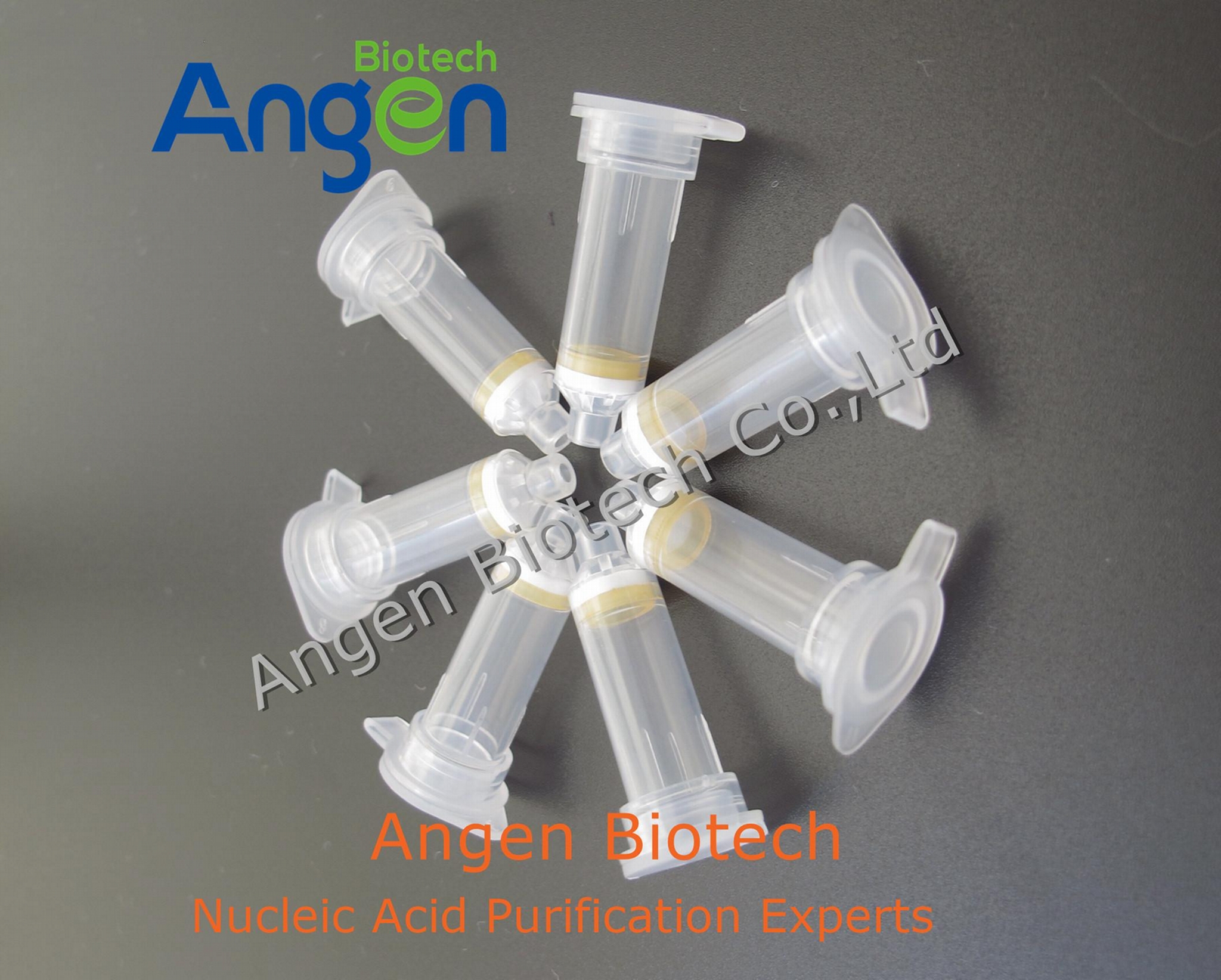 AG-DNA Binding Column I - D50011 - Angen Biotech (China Trading Company ...