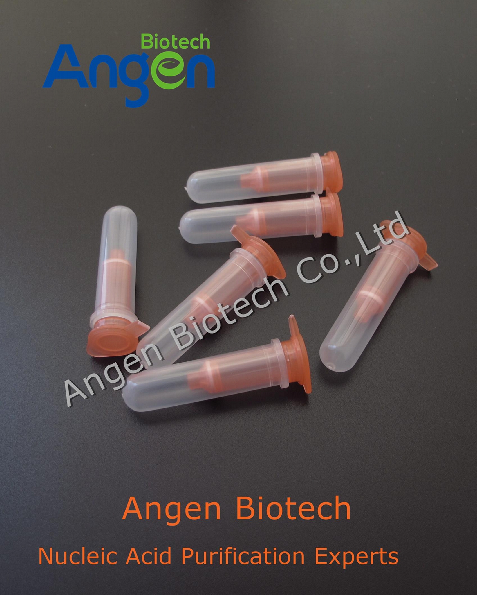 AG-DNA Binding Column I - D50011 - Angen Biotech (China Trading Company ...