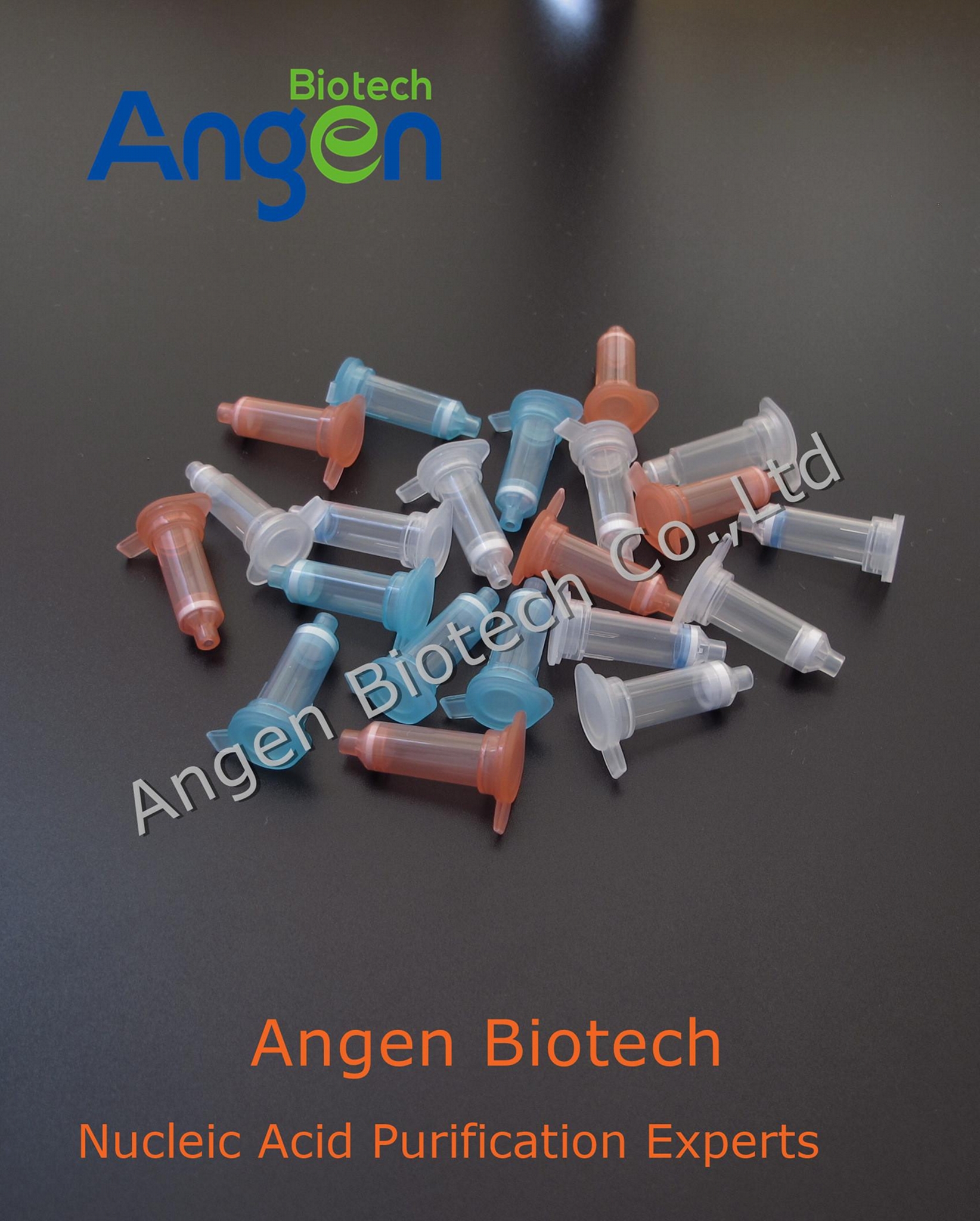AG-DNA Binding Column II - D50021 - Angen Biotech (China Trading ...