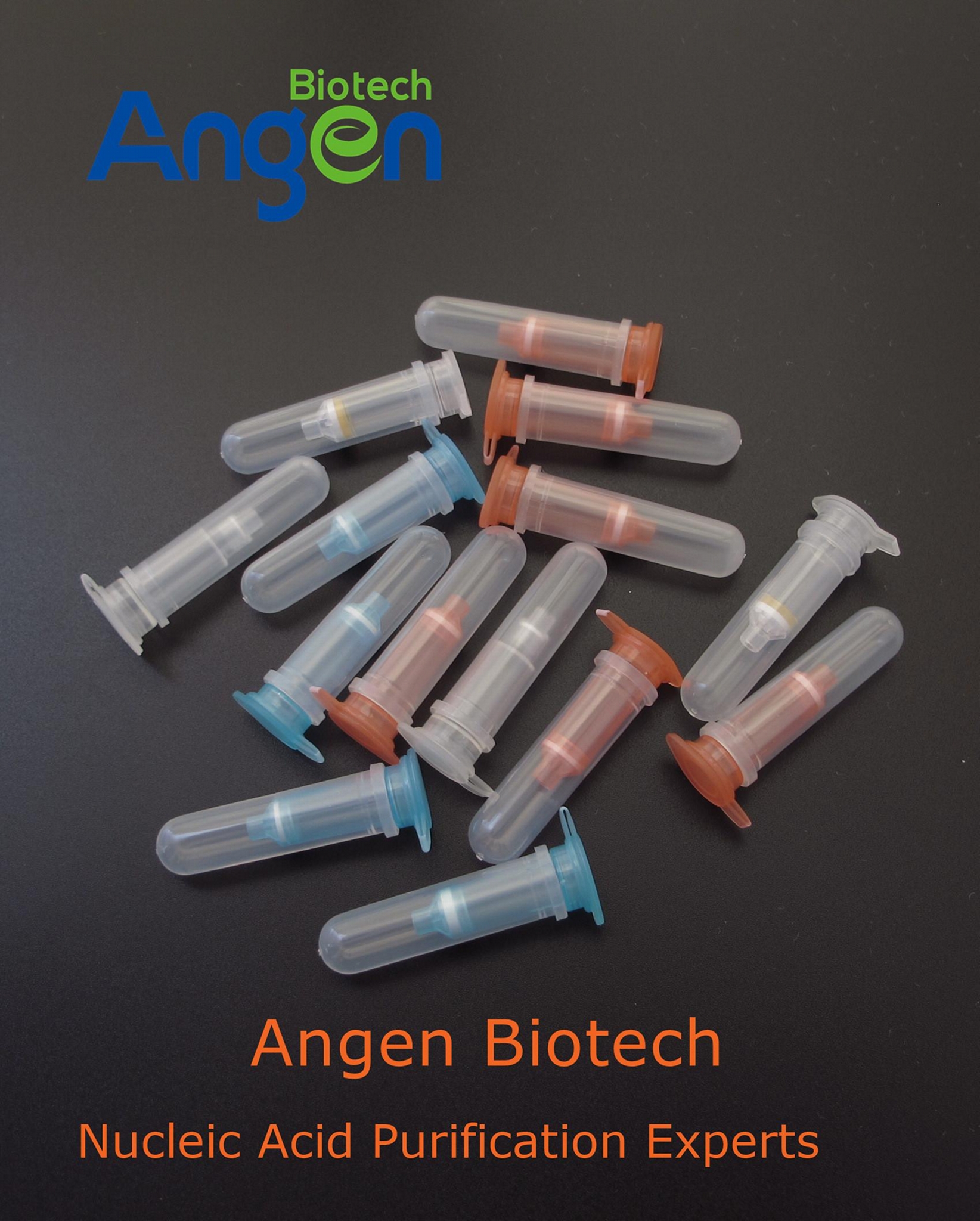 AG-DNA Binding Column II - D50021 - Angen Biotech (China Trading ...