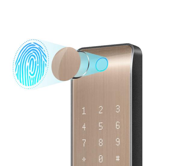 Fingerprint Entrance Lock - F8 - Ilockey (China Manufacturer) - Locks ...