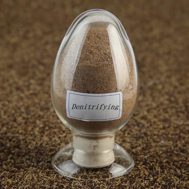 denitrifying bacteria to quick start up and recovery denitrification ...