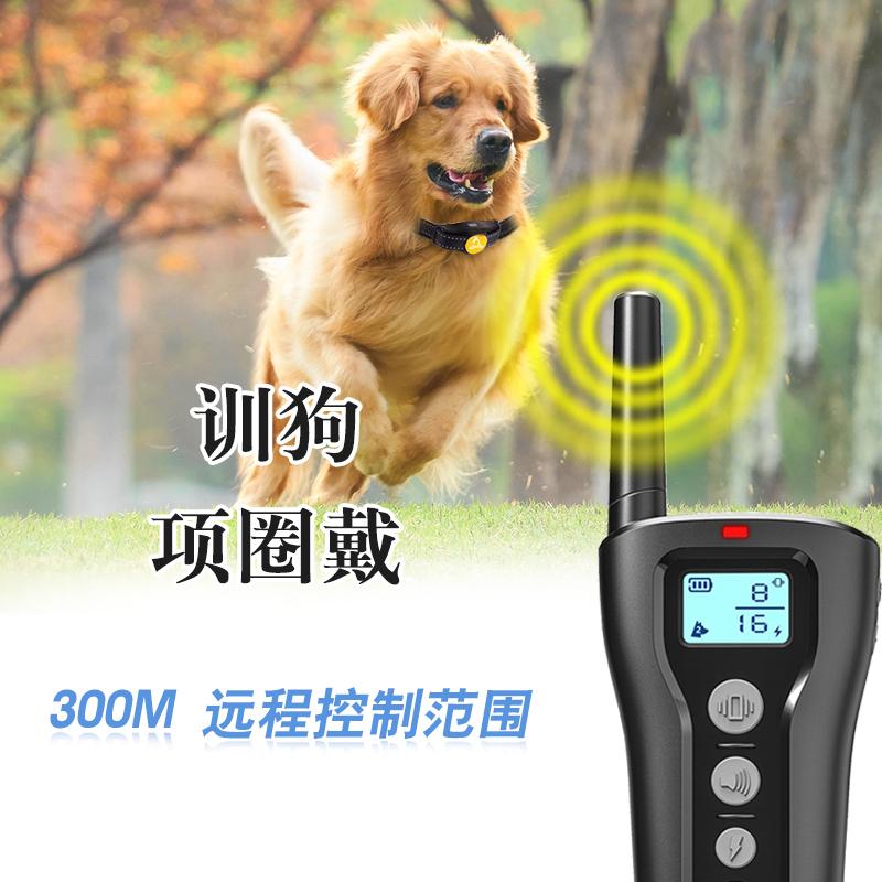 Test dog shock collar with shock collar to stop dog from eating garbage ...