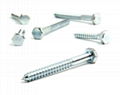Lag Screw - FYFasteners (China Manufacturer) - Nuts & Bolts - Machine ...