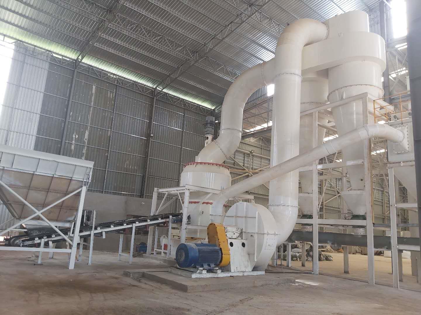 ZHANJIANG DONG SHENG MINERALS CO.LTD (China Manufacturer) - Company Profile