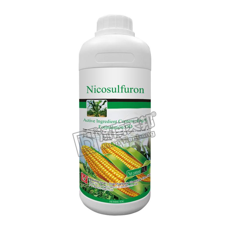 Herbicide Nicosulfuron - 92TC - Tianbang (China Manufacturer ...
