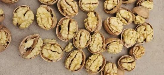 Walnut Inshell - 15 - suguo (China Manufacturer) - Agriculture Product ...