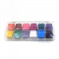 ES-FPE-003 12 Color Halloween Style Palette (China Manufacturer ...