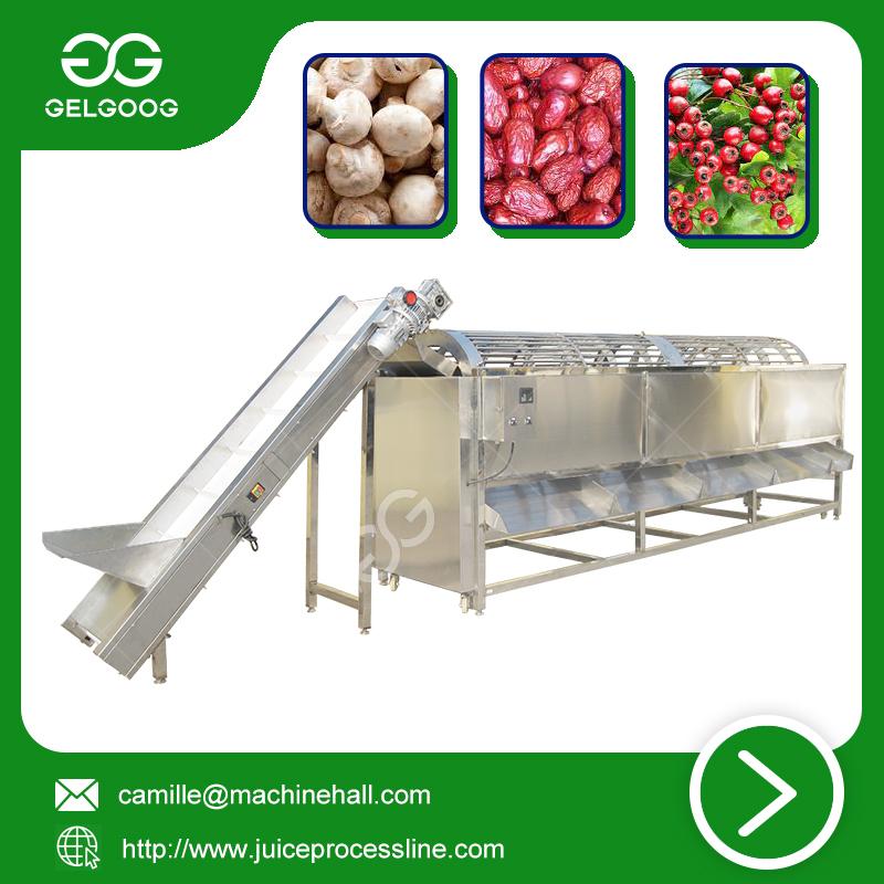 Rotary Drum classifier factory price vegetable classifying machine ...