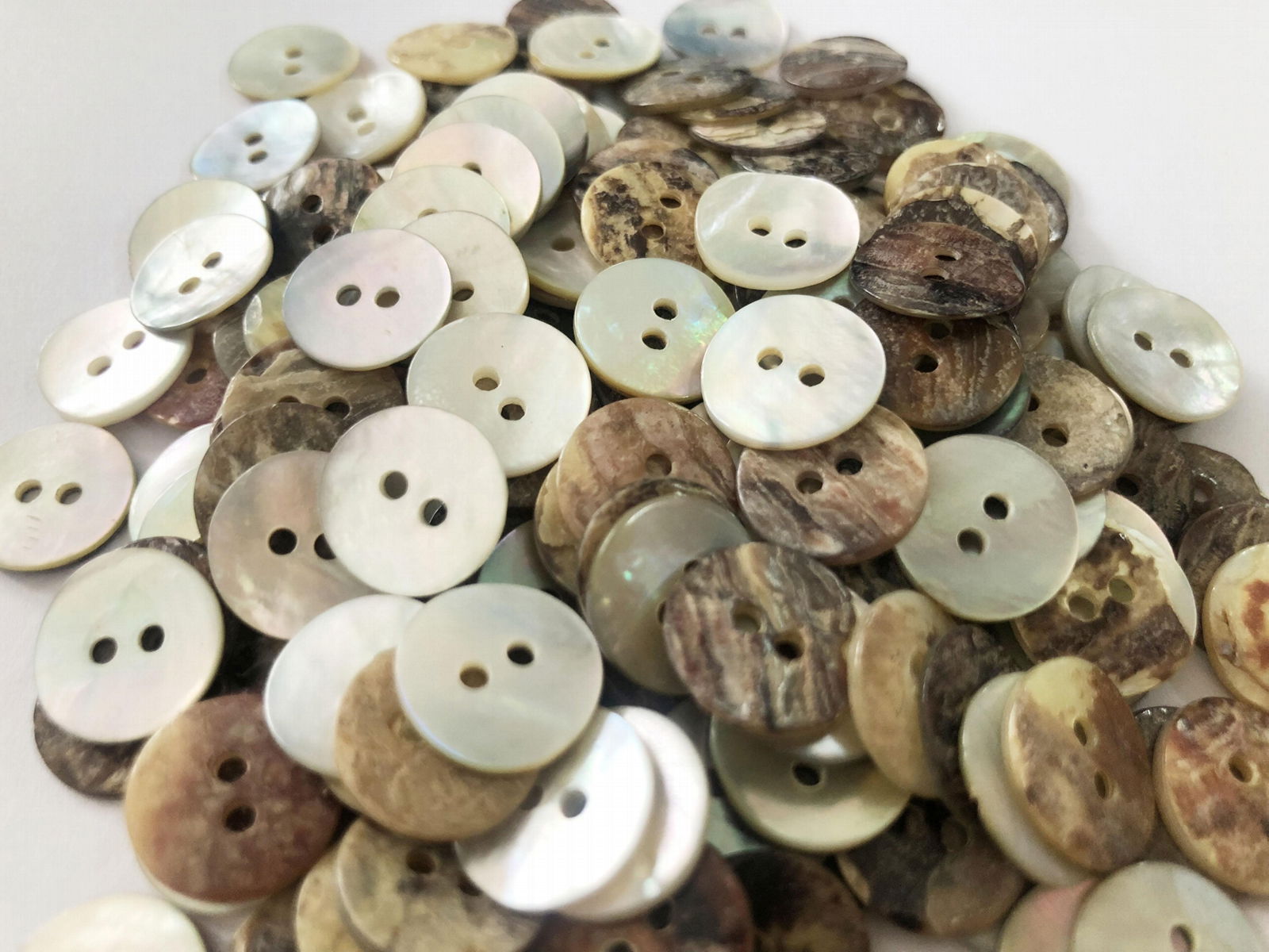 Akoya shells buttons Natural buttons 18L - PI1788 (China Manufacturer ...