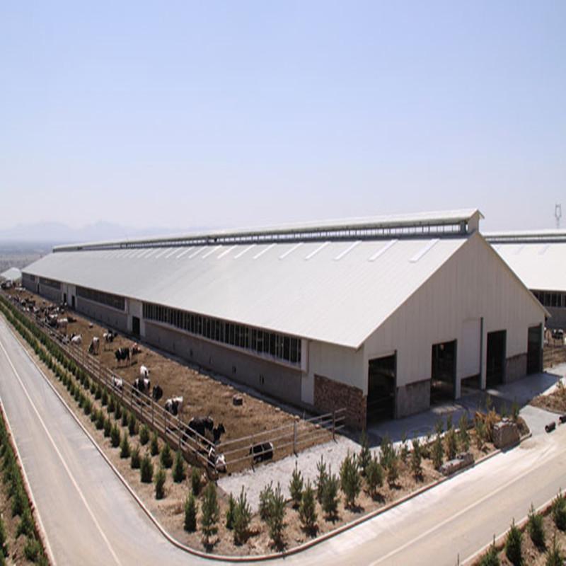 Prefabricated Steel Structure Design Livestock House Dairy Cow Farm ...