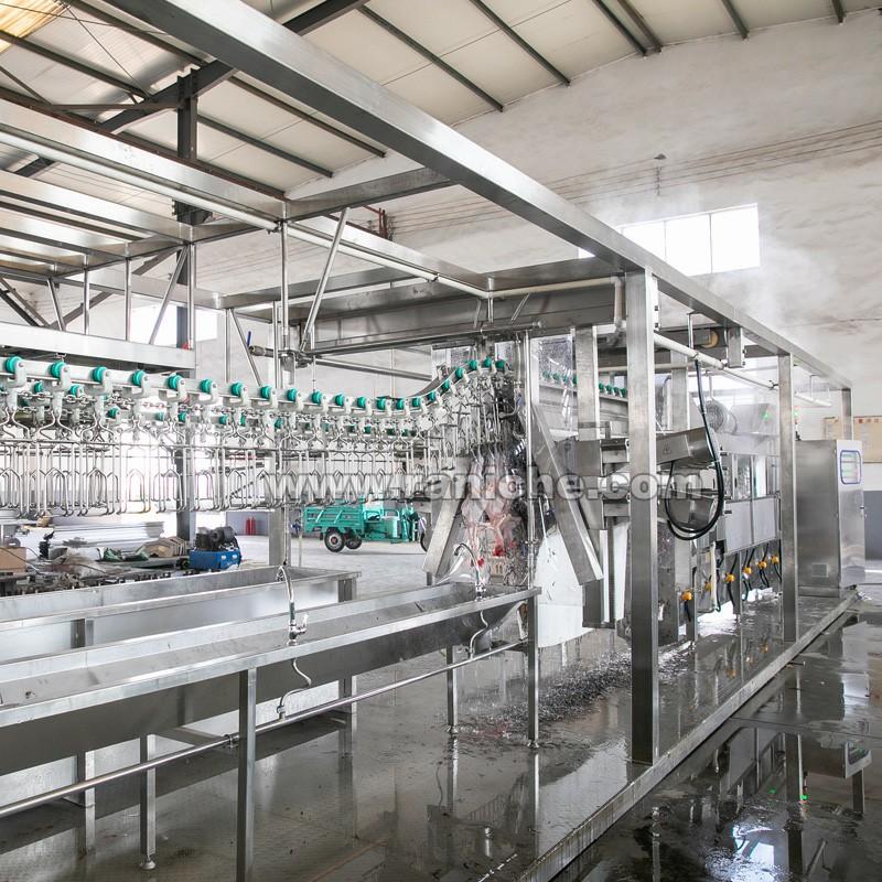 500bph Compact Chicken Slaughtering Line for Vietnam - Raniche (China ...