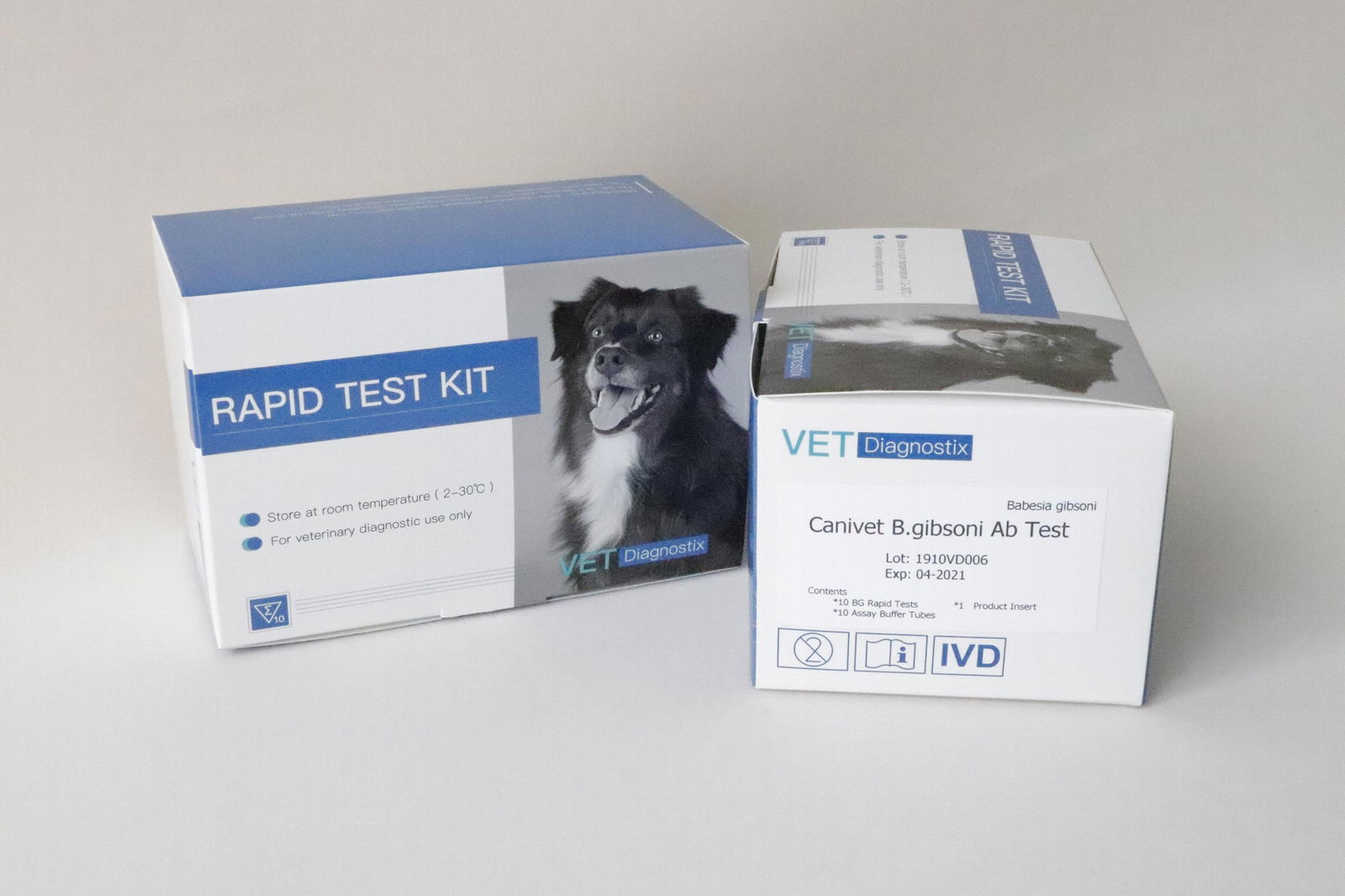 Babesia gibsoni Antibody Rapid Test kit - VD006 - Vet-Dianostix (China ...