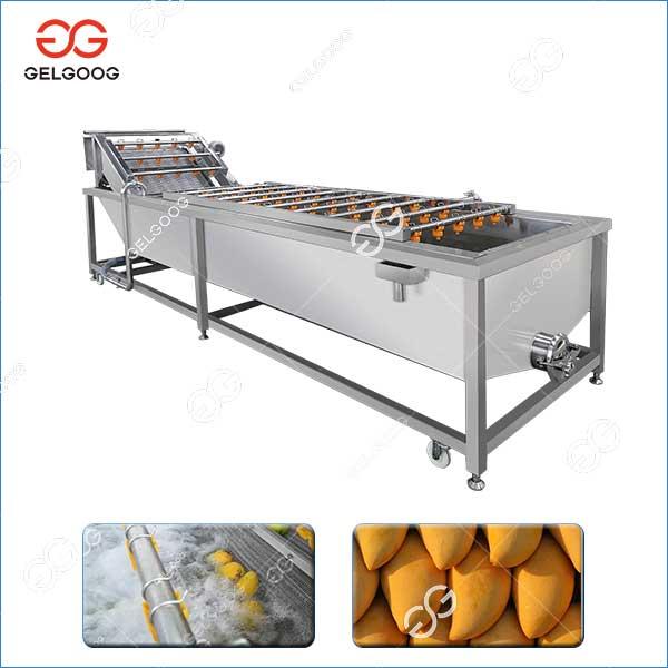 Strawberry Washing Machine System Berry Processing Equipment ...