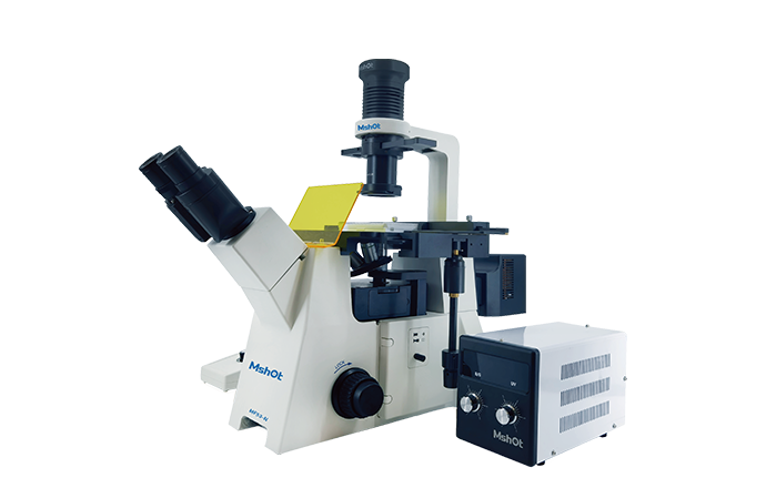 Inverted fluorescence microscope MF53-N - MSHOT (China Manufacturer ...