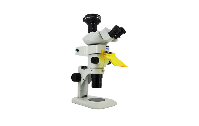 Scientific grade stereo-fluorescence microscope MZX81 - MSHOT (China ...