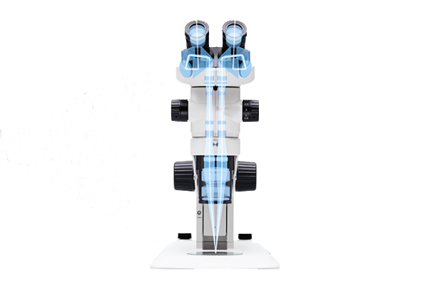Scientific grade stereo-fluorescence microscope MZX81 - MSHOT (China ...