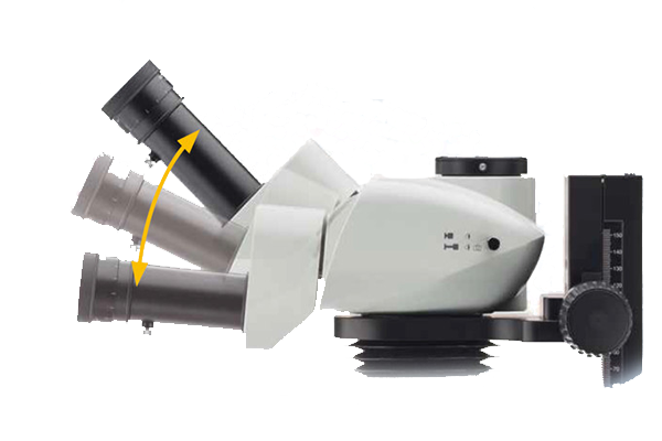 Scientific grade stereo-fluorescence microscope MZX81 - MSHOT (China ...