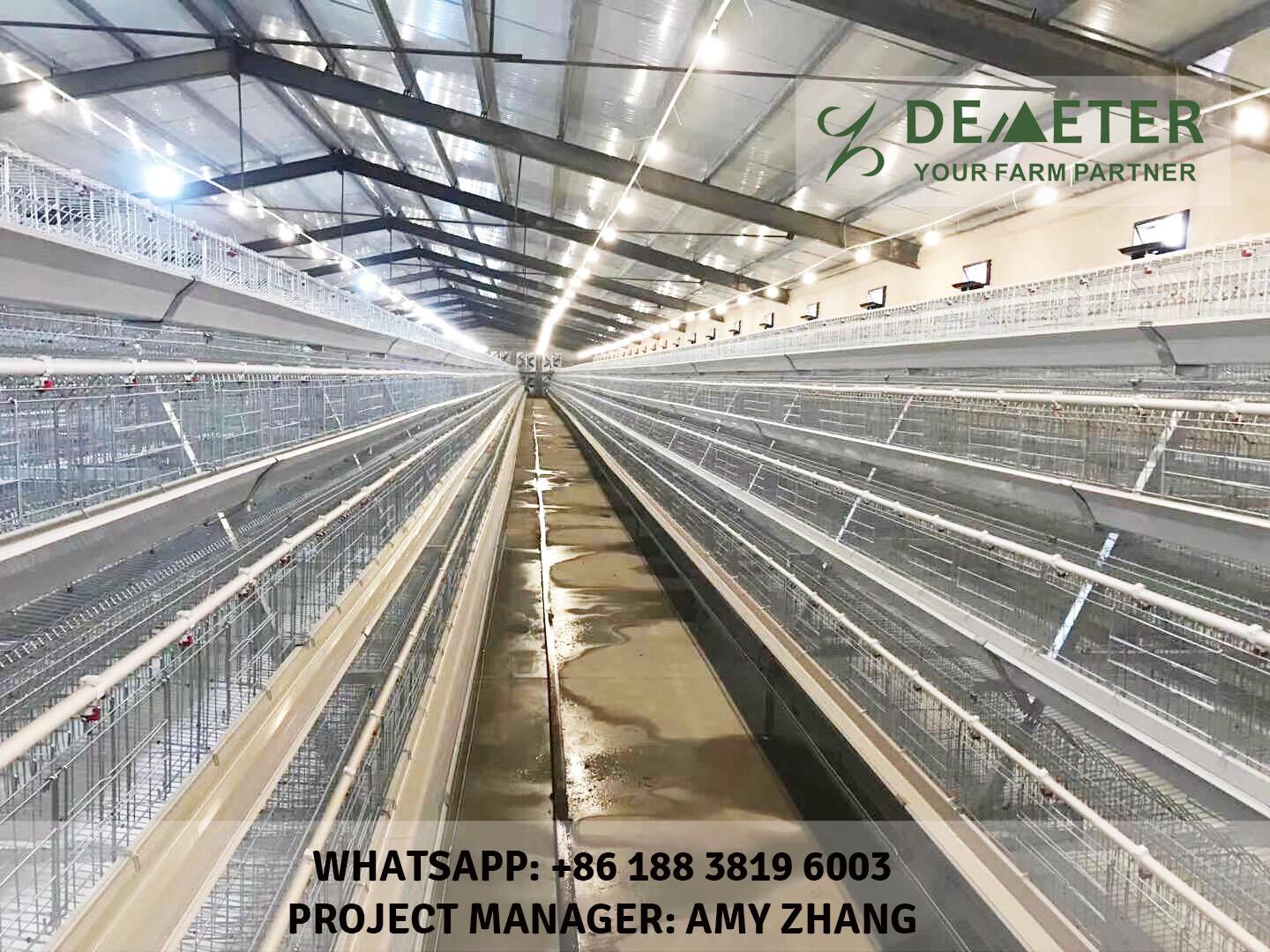 automatic chicken cages for sale commercial chicken cages - A 120 ...