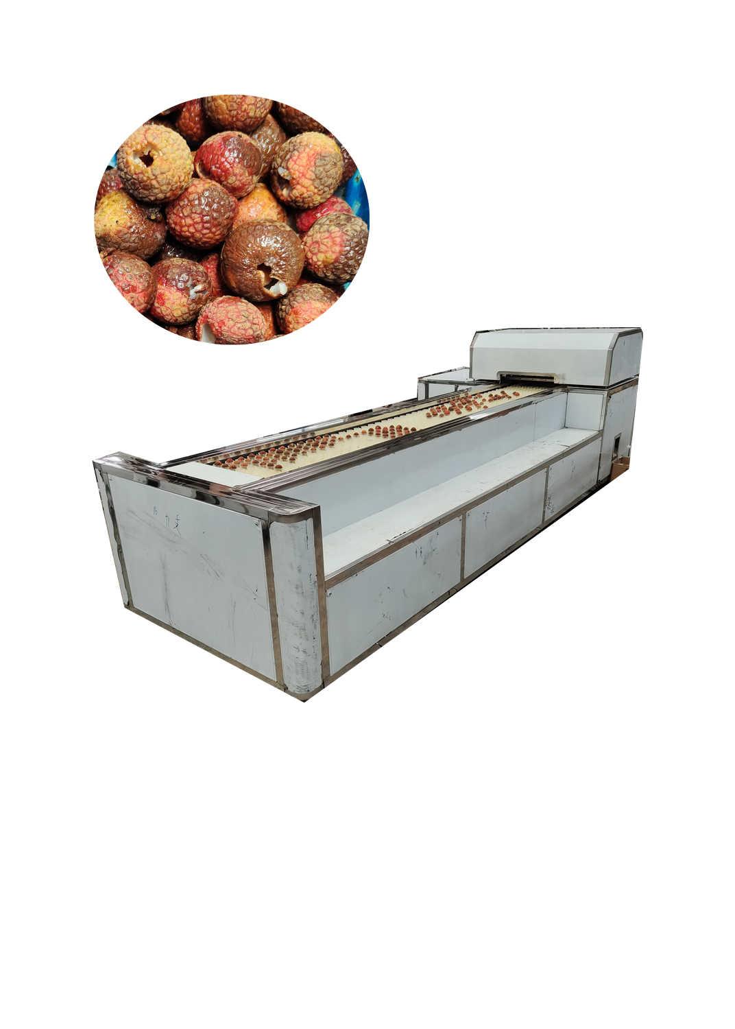 Litchi pitting machine (China Manufacturer) - Other Processed Food ...