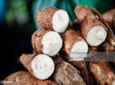 Cassava, Dried Cassava - iolnnnnnxx - Dried Cassava, Cassava (South ...