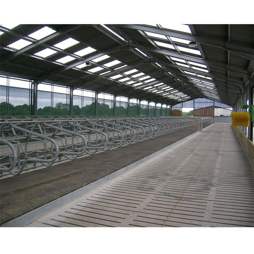 Modern cow shed structure prefabricated cattle farm building - SH-cow ...