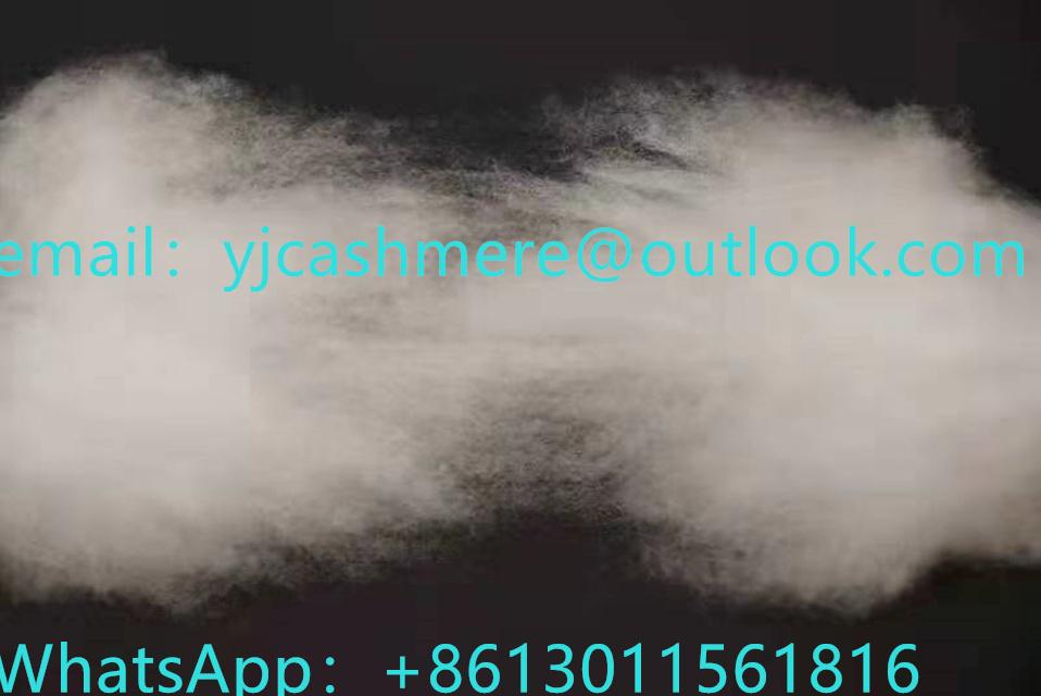 Hot sale white carded lamb wool mercerized and degreased for filling ...