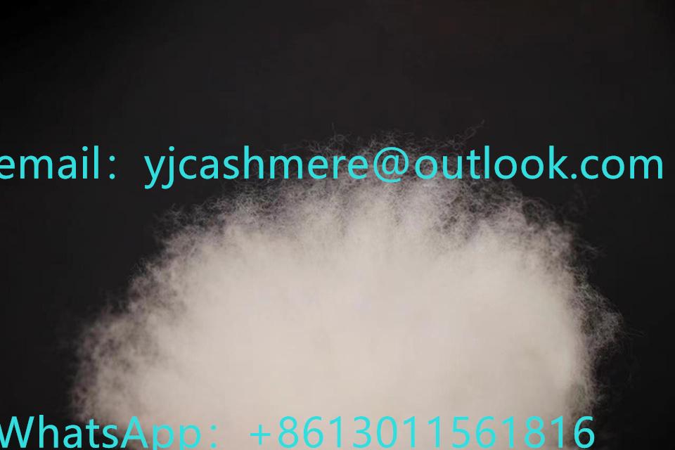 Hot sale white carded lamb wool mercerized and degreased for filling ...