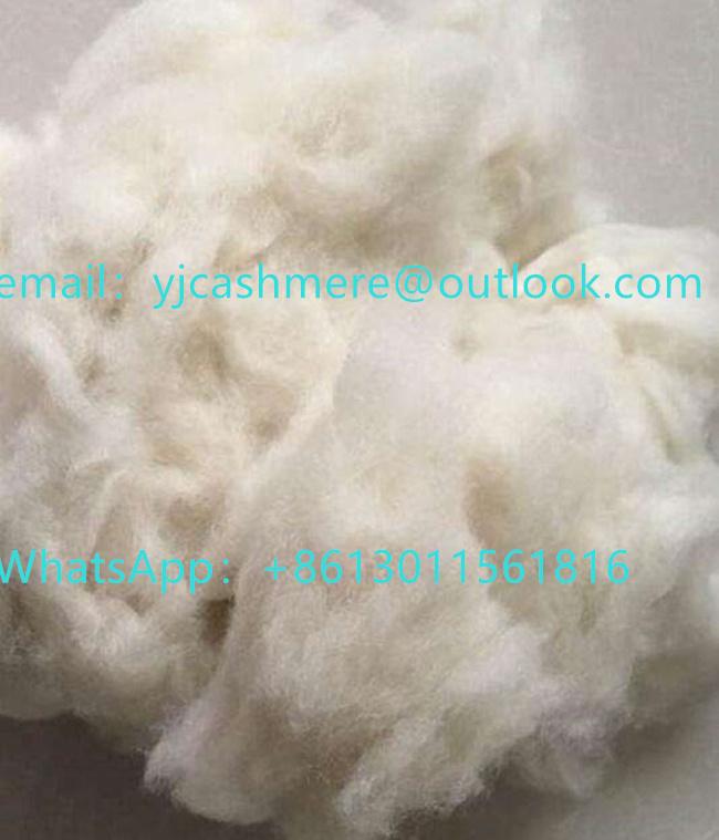 Hot sale white carded lamb wool mercerized and degreased for filling ...