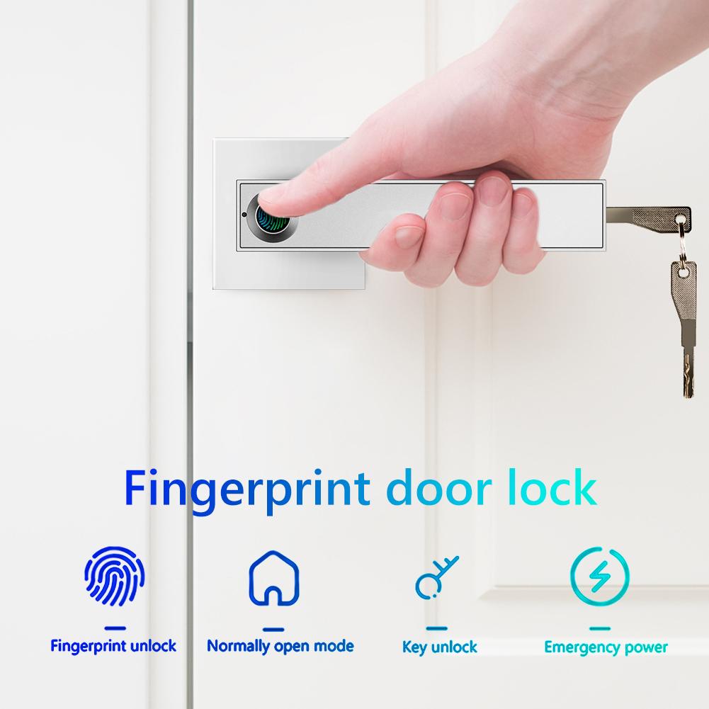 Indoor Wooden Door Fingerprint Door Lever Lock Electronic TTlock Smart ...