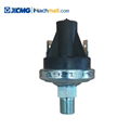 XCMG Official Crane Spare Parts Air Pressure Switch 76585 - 803602518 ...
