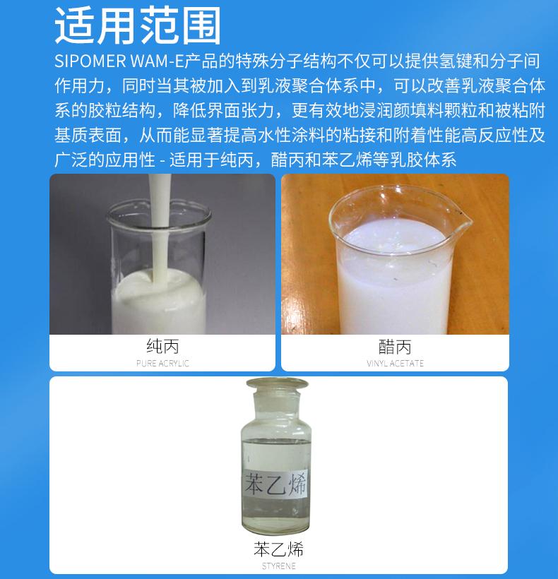 索爾維SIPOMER WAM-E 特殊單體 脲基濕附着力單體 廣東一級總代理 - 索爾維Solvay (中國 貿易商) - 化學助劑 - 催化劑和化學助劑 產品 「自助貿易」