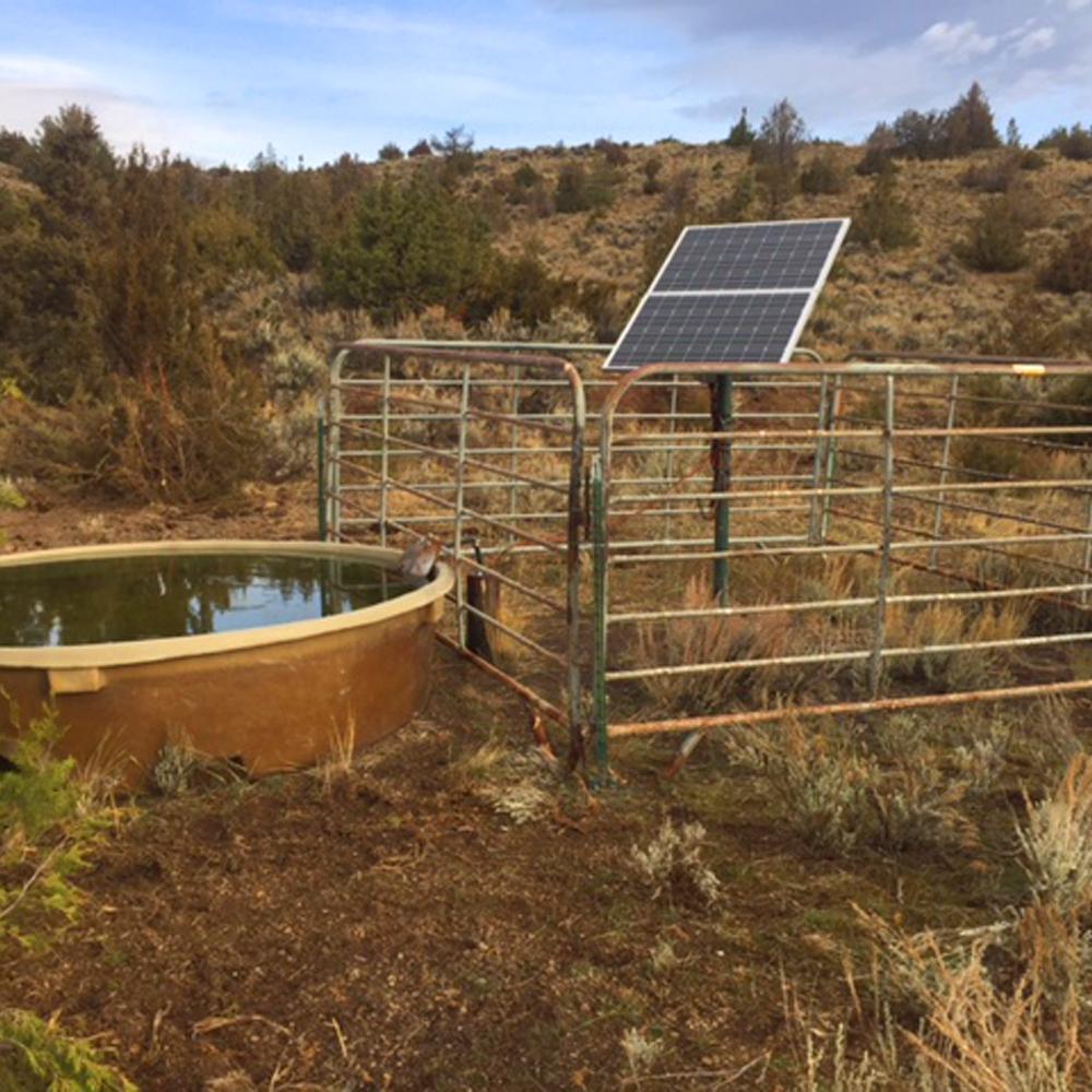 brushless dc lorentz solar submersible water pump price - JS3 - Cheers ...