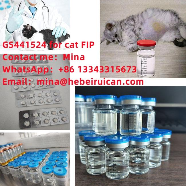 GS441524 injection 20mg/ml for Cat fip - China - Trading Company