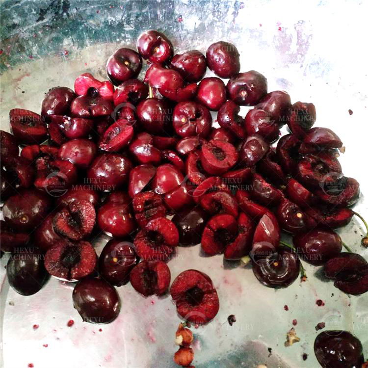 Automatic Cherry Pitting Core Pitter Cherry Stone Removing Machine - QH ...