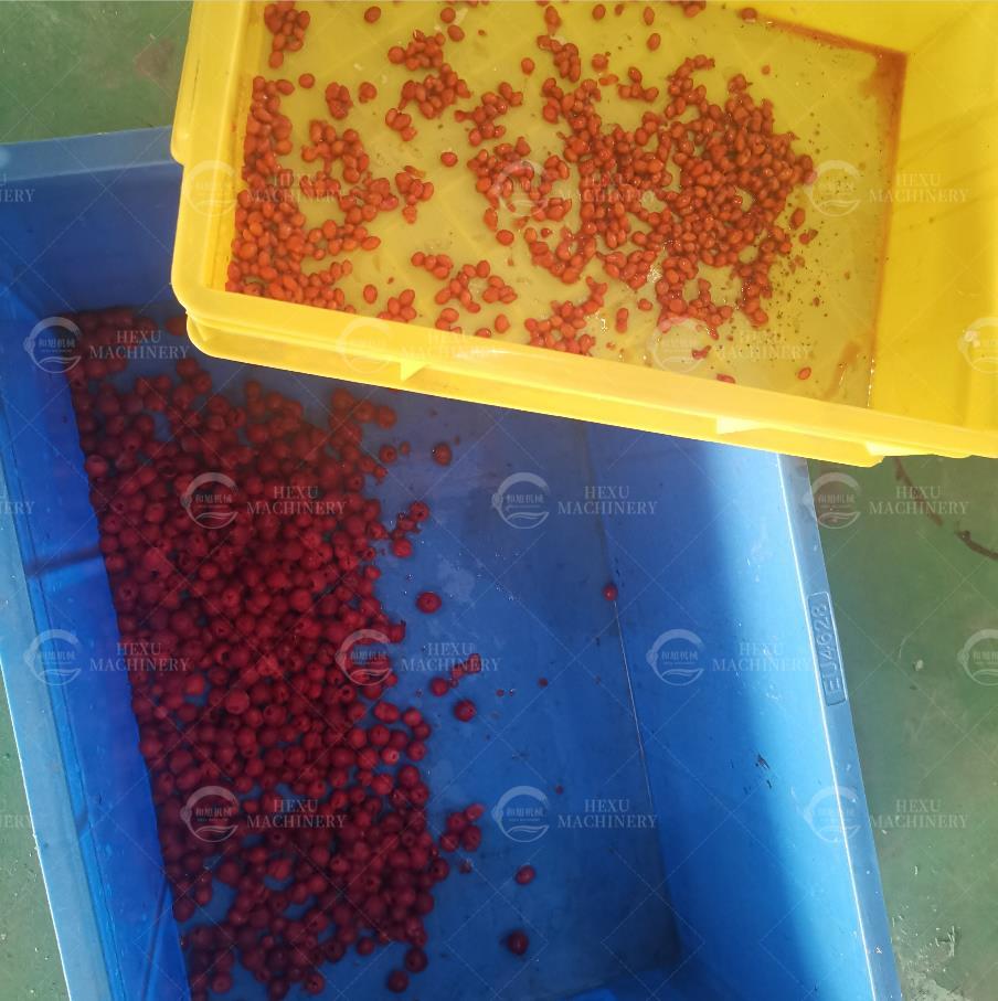 Automatic Cherry Pitting Core Pitter Cherry Stone Removing Machine - QH ...