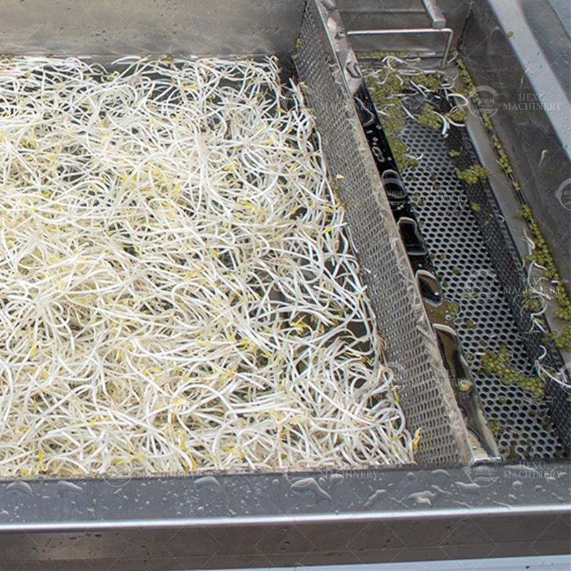 Fruit Cleaning Lettuce Cabbage Spinach Leaf Vegetable Washing Machine ...