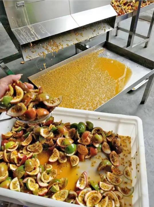 Lemon Passion Fruit Seed Deseeder Grapefruit Peeling Separator - QP-101 ...