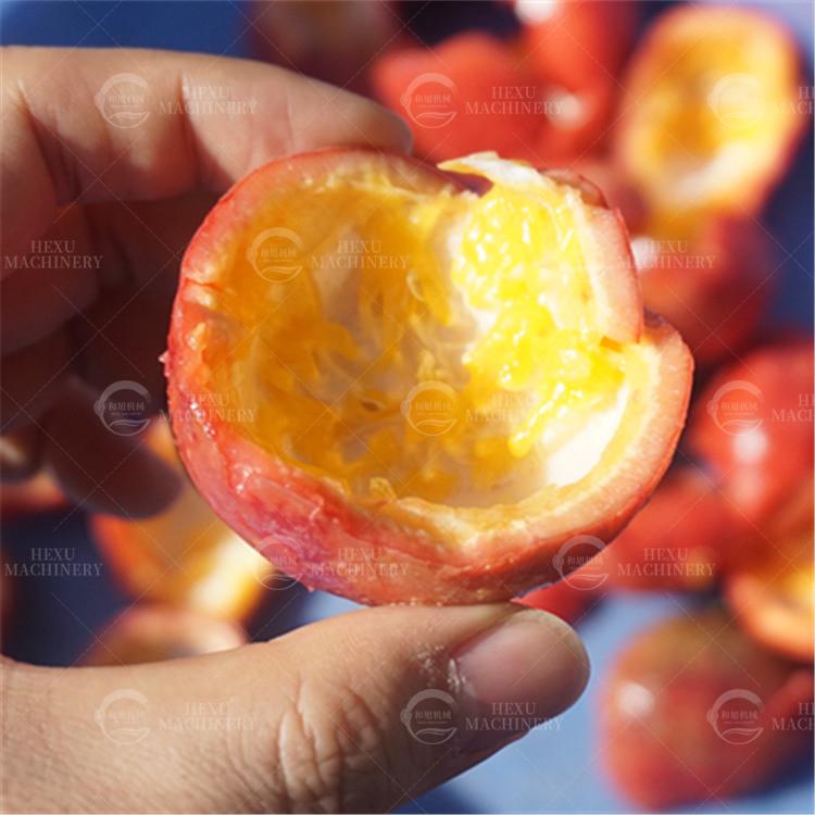 Lemon Passion Fruit Seed Deseeder Grapefruit Peeling Separator - QP-101 ...
