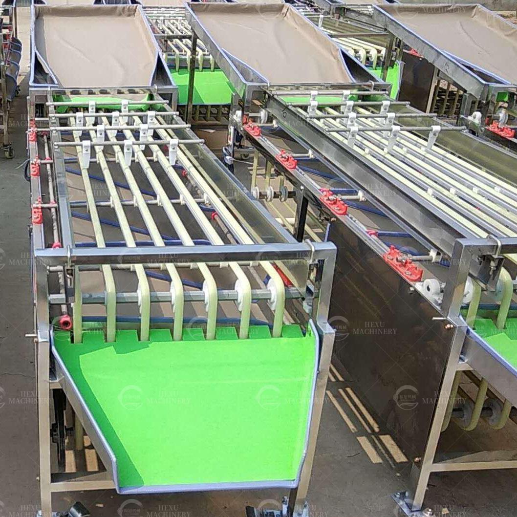 Fruit and Vegetable Sorting and Grading Machine Size Sorting Machine ...