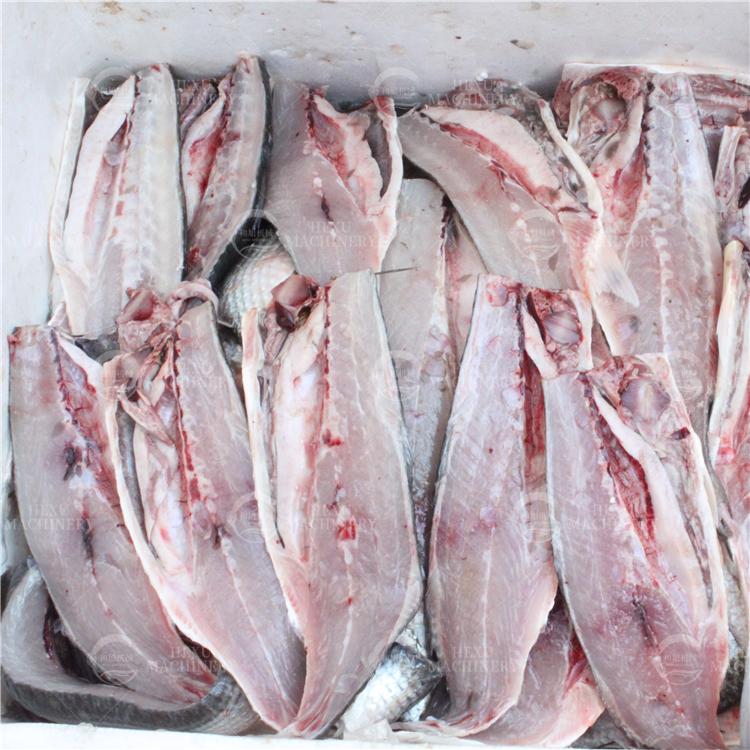Fish Fillet Filleting Machine /Grass Carp Fish Slicing Cutter/Fish Meat ...