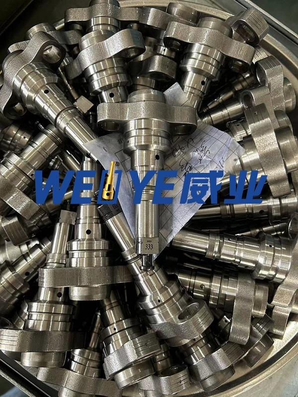diesel injection plunger X170S FOR STYRE - WEIYE (China Manufacturer ...