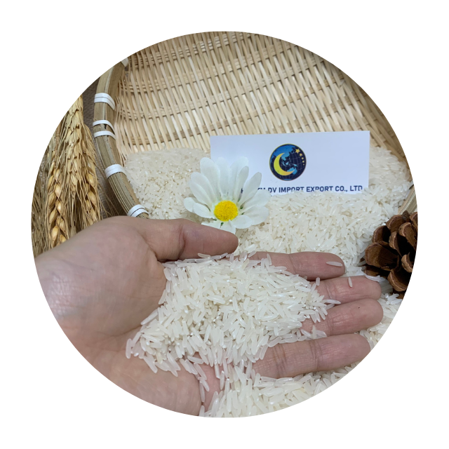 Vietnam White Rice 5% Broken 504 with low rice high quality - 504 rice ...